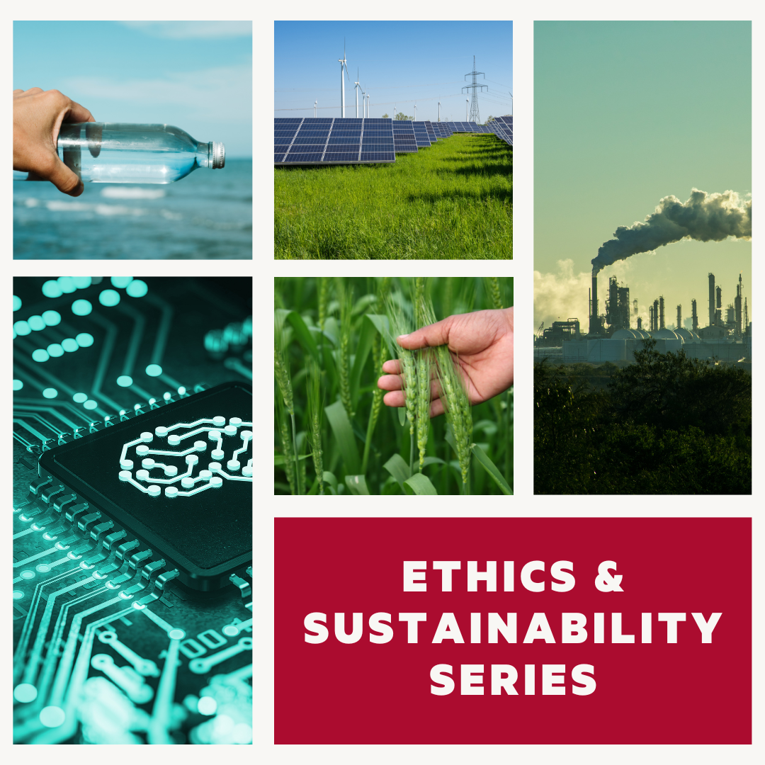 Institute for Business Ethics and Sustainability (IBES) - Loyola ...